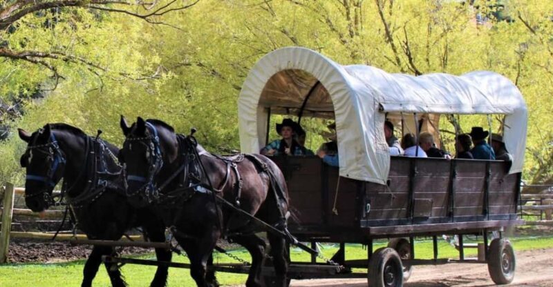 Jackson: Chuck Wagon Cookout and Live Show - Authenticity & Review Highlights