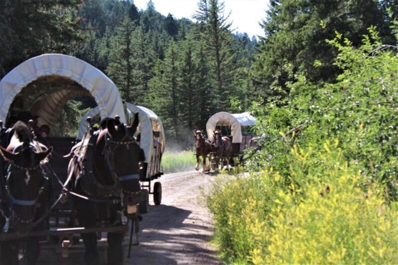 Jackson: Chuck Wagon Cookout and Live Show - FAQ