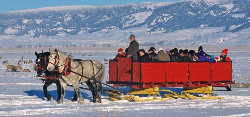 Jackson: Grand Teton and National Elk Refuge Winter Day Trip - Key Points