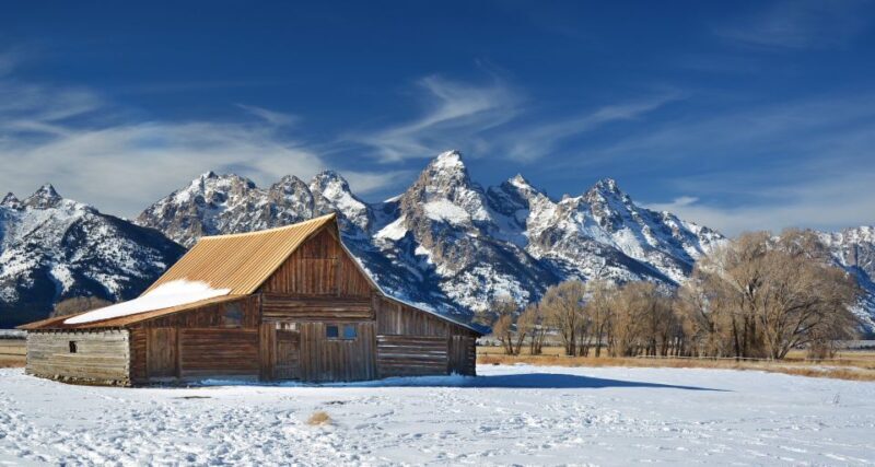 Jackson: Grand Teton and National Elk Refuge Winter Day Trip - The Value in Focus