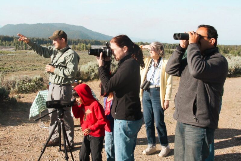 Jackson: Grand Teton National Park Guided Wildlife Tour - What’s Included and What’s Not