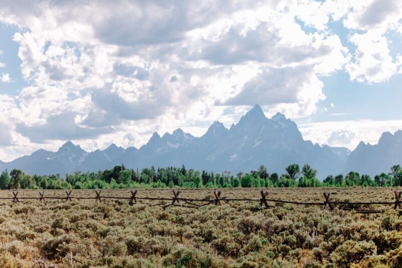 Jackson: Grand Teton Sunrise Safari with Naturalist Guide - Who Would Benefit Most from This Experience?