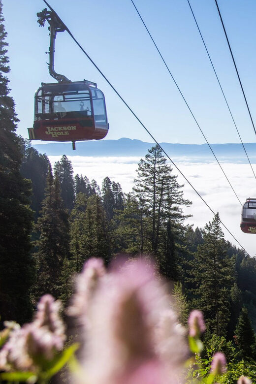 Jackson Hole: Aerial Tram and Gondolas Admission Ticket - Trails, Walks, and Wildlife
