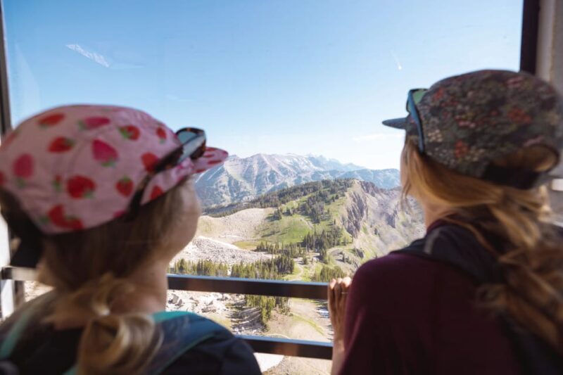 Jackson Hole: Aerial Tram and Gondolas Admission Ticket - Peak Season Perks and Considerations