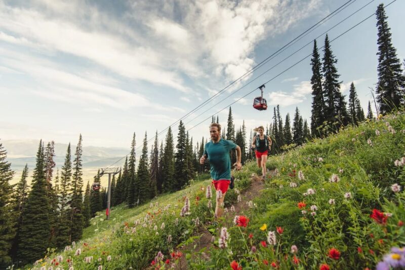 Jackson Hole: Aerial Tram and Gondolas Admission Ticket - Practical Tips for Your Visit