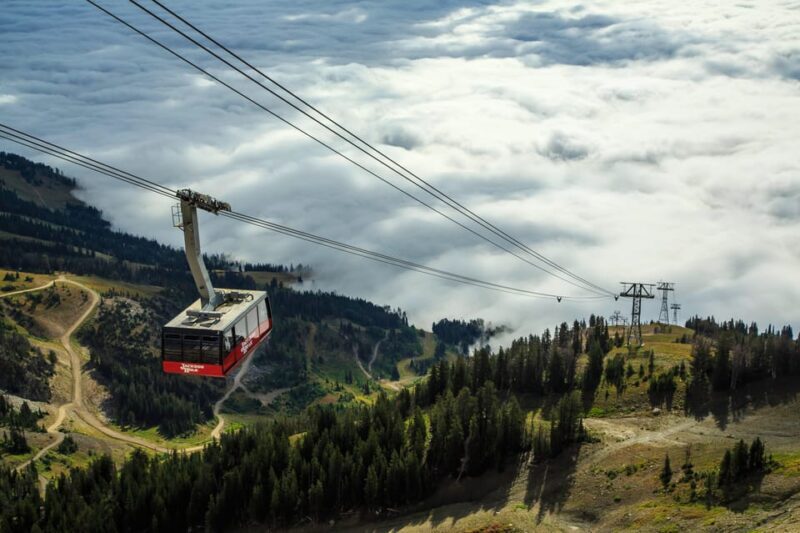 Jackson Hole: Aerial Tram and Gondolas Sightseeing - The Value and Overall Impression