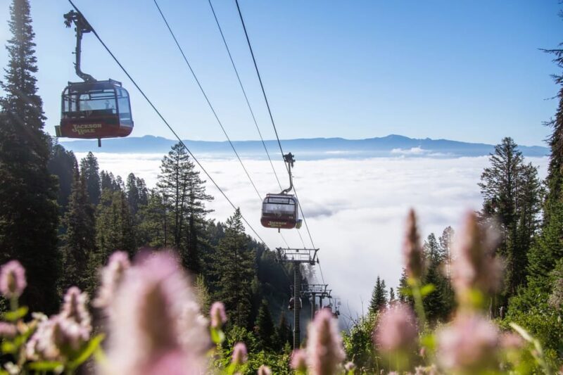 Jackson Hole: Aerial Tram and Gondolas Sightseeing - FAQs