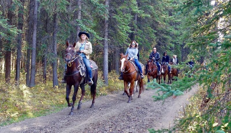Jackson Hole: Bridger-Teton National Forest Horseback Ride - An Honest Look at the Experience
