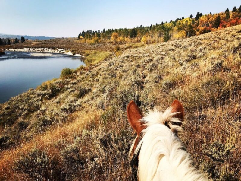 Jackson Hole: Bridger-Teton National Forest Horseback Ride - FAQ