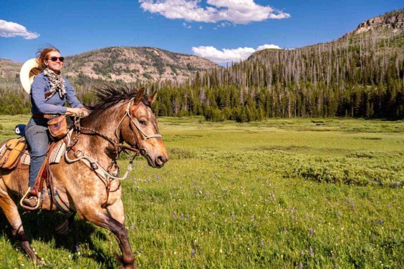 Jackson Hole: Dinner Cookout & Bridger-Teton Horseback Ride - Authenticity and Safety