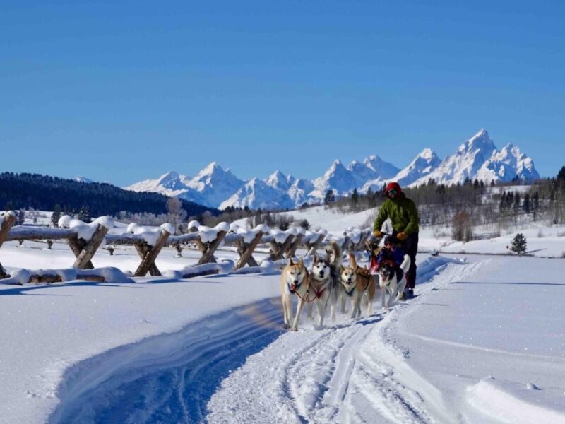 Jackson Hole: Dogsledding Tour with Hot Chocolate - Jackson Hole: Dogsledding Tour with Hot Chocolate – A Genuine Winter Experience