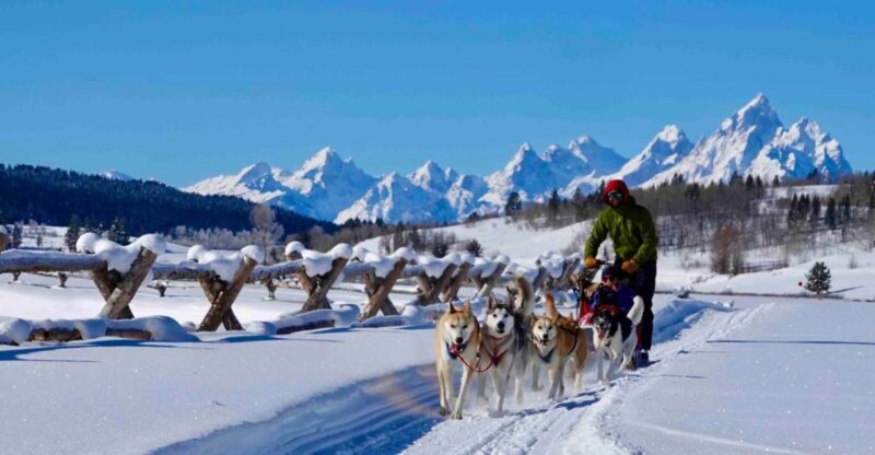 Jackson Hole: Dogsledding Tour with Hot Chocolate - Who Will Love This Tour?