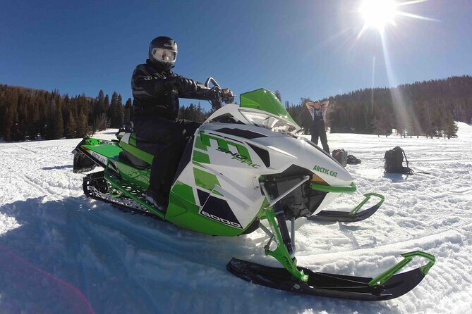 Jackson Hole Full-Day Dog Sledding and Snowmobiling Combo Trip - Authenticity and Experience Quality