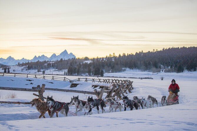 Jackson Hole Full-Day Dog Sledding and Snowmobiling Combo Trip - FAQ