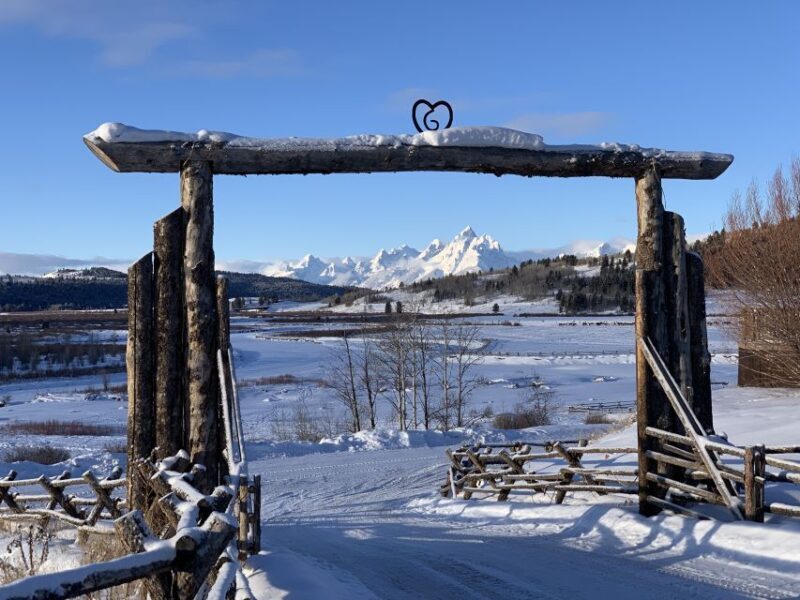Jackson Hole: Grand Teton Full-Day Snowmobile Tour - What Reviewers Love