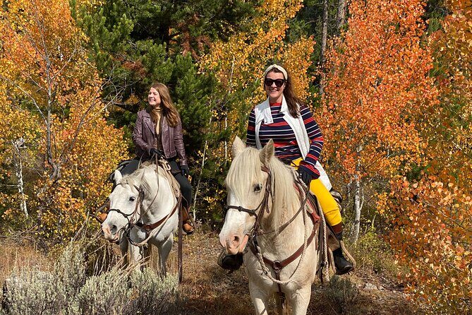 Jackson Hole Horseback Riding in Bridger Teton National Forest - Exploring Bridger-Teton National Forest on Horseback