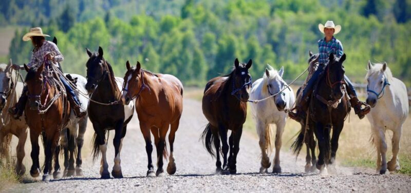 Jackson Hole: Moose Meadow Horseback Tour with Breakfast - An Authentic Wyoming Outing: What to Expect