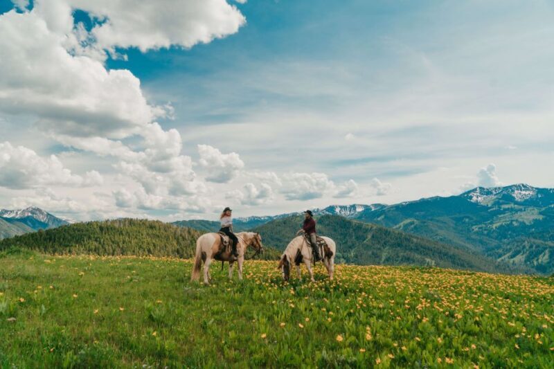 Jackson Hole: Moose Meadow Horseback Tour with Breakfast - The Details: What You Need to Know
