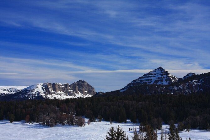 Jackson Hole Self Guided Snowmobile Rentals - Final Thoughts: Is It Worth It?