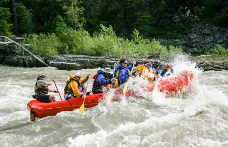 Jackson Hole: Snake River Whitewater Rafting Tour - An Action-Packed Adventure on Snake River