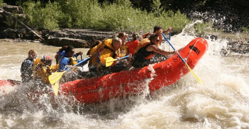 Jackson Hole: Snake River Whitewater Rafting Tour - The Mellow Mile and Refreshing Swims