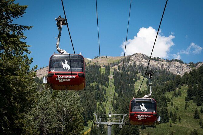 Jackson Hole Summer Aerial Tram Sightseeing - The Itinerary in Detail: What to Expect