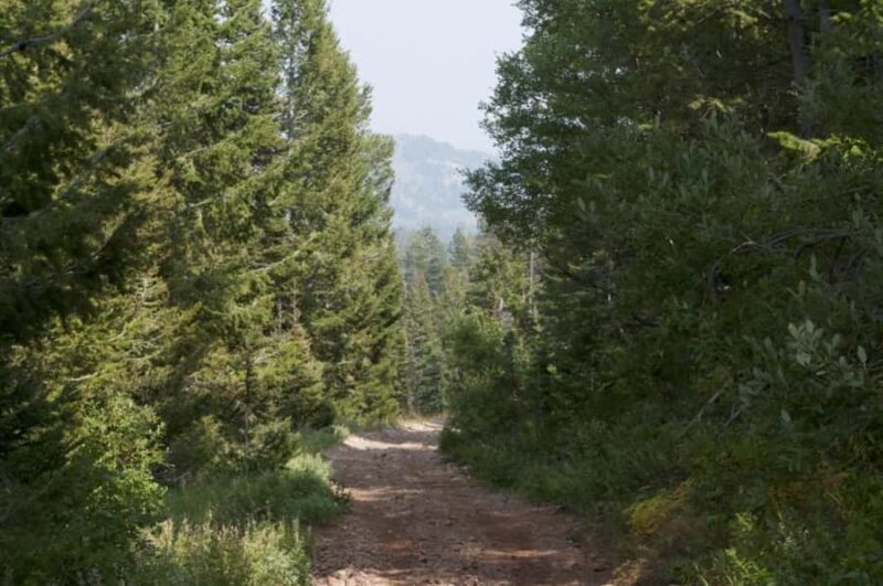 Jackson Hole: Teton Range ATV Tour with Picnic Lunch - How the Tour Fits into Your Trip