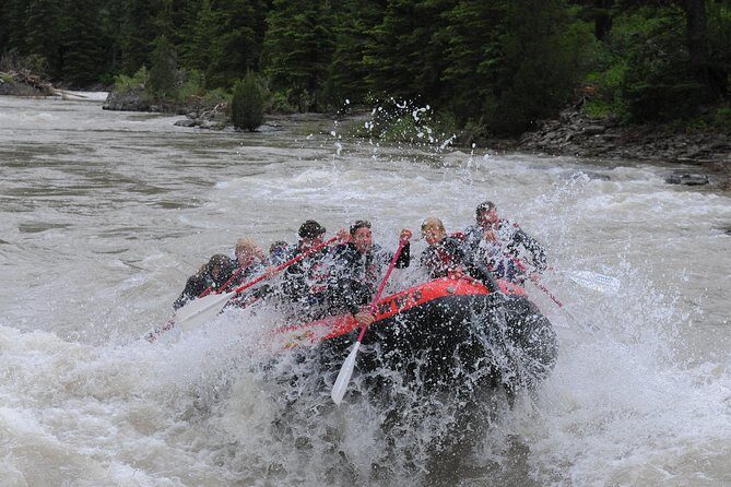 Jackson Hole Whitewater Rafting Classic from Jackson Hole,Wyoming - Authentic Experiences From Travelers