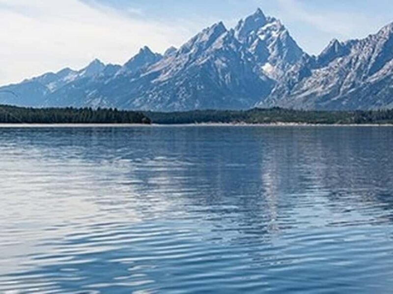 Jackson Lake: Guided Fishing Tour in Grand Teton - The Fishes: What’s Reeling?