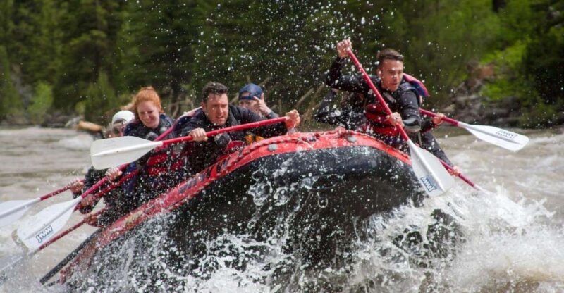 Jackson: Snake River Class 2-3 Whitewater Rafting Adventure - An Introduction to the Snake River Whitewater Experience