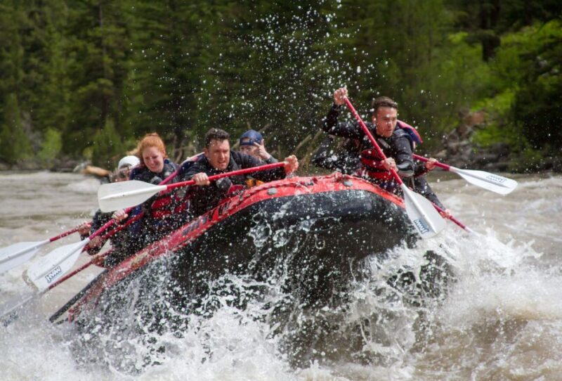 Jackson: Snake River Class 2-3 Whitewater Rafting Adventure - Why This Tour Offers Great Value