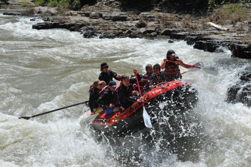 Jackson: Snake River Class 2-3 Whitewater Rafting Adventure - Scenic Canyon and Wildlife Viewing: A Visual Feast