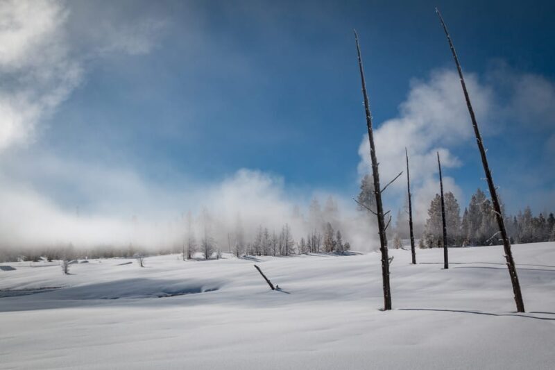 Jackson: Yellowstone Snowcoach Tour to Old Faithful - The Sum Up