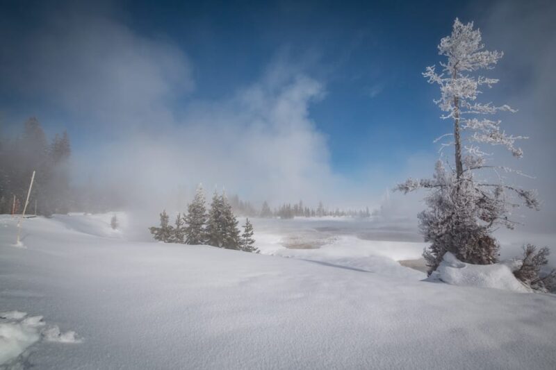 Jackson: Yellowstone Snowcoach Tour to Old Faithful - FAQ