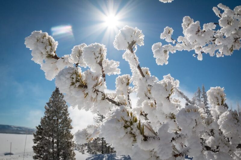 Jackson: Yellowstone Snowmobile Tour to Old Faithful - Who Should Consider This Tour?