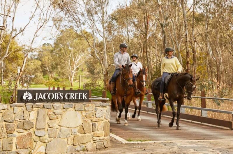 Jacobs Creek Vineyard Horse Ride and Tasting - A Closer Look at the Experience