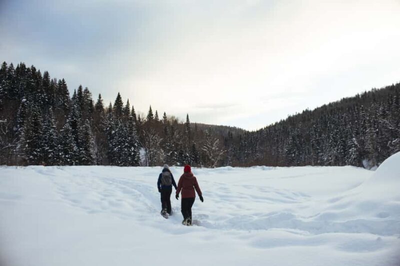 Jacques-Cartier: National Park Entry Ticket & Snowshoeing - An In-Depth Look at the Tour Experience