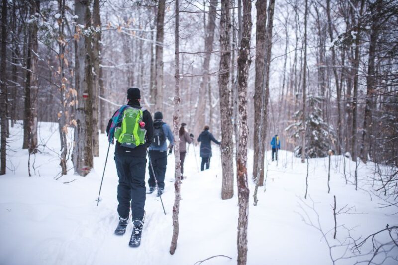 Jacques-Cartier National Park: Skiing Excursion - Who Should Consider This Tour?