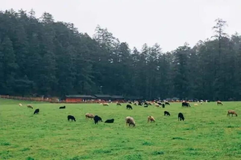 Jade Dragon Snow Mountain, Dongba Valley, Impression Lijiang - FAQs