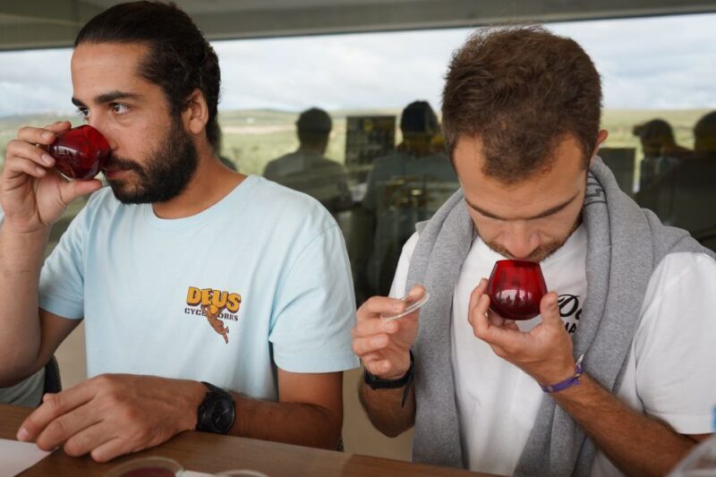 Jaén: Aires de Jaén Olive Oil Tasting Class - Key Points