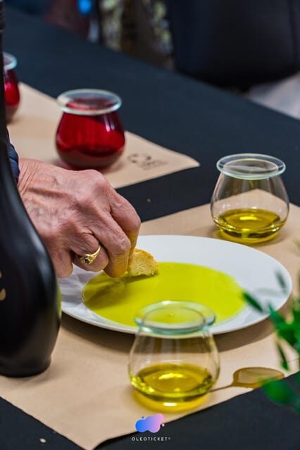 Jaén: Guided Olive Grove Tour - FAQ: Your Questions About the Guided Olive Grove Tour Answered