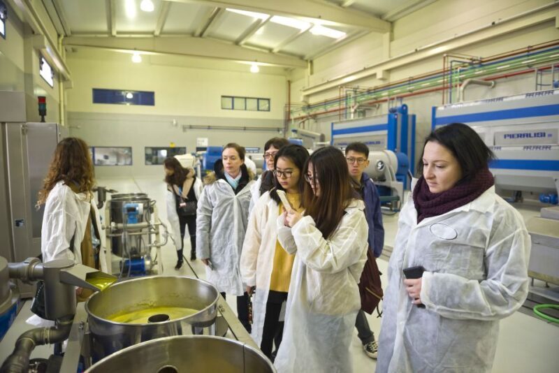 Jaén: Olive Mill Tour and Olive Oil Tasting Experience - An In-Depth Look at the Olive Oil Tour