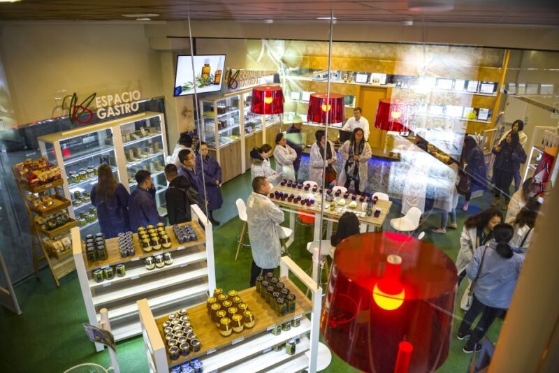 Jaén: Olive Mill Tour and Olive Oil Tasting Experience - Final Thoughts