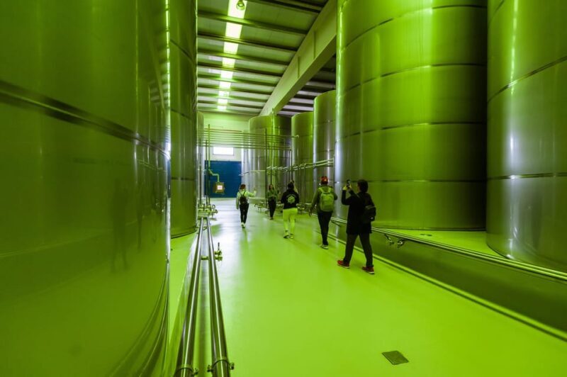 Jaén: Unforgettable visit to the olive mill + EVOO tasting - Uncovering the Heart of Andalusia: A Truly Rich Olive Oil Tour in Jaén