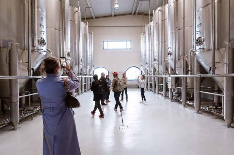 Jaén: Unforgettable visit to the olive mill + EVOO tasting - Key Points