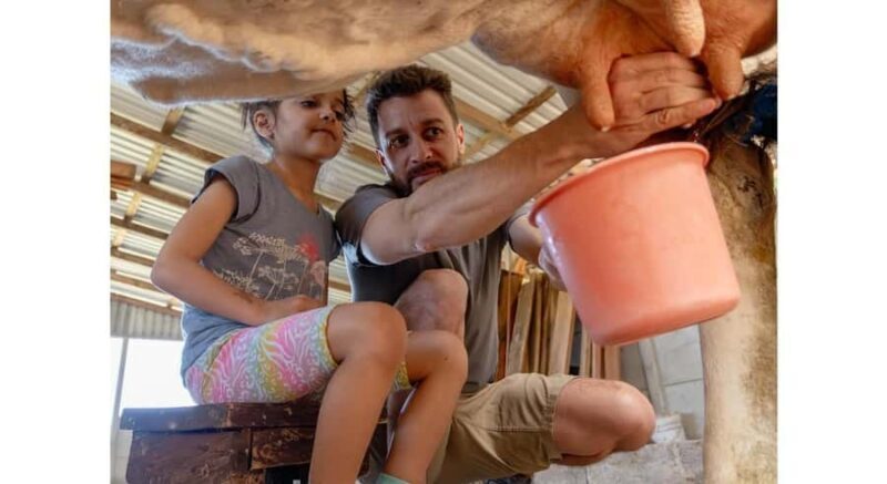 Jaffna: Cow Milking and Dairy Farm Experience - Final Thoughts