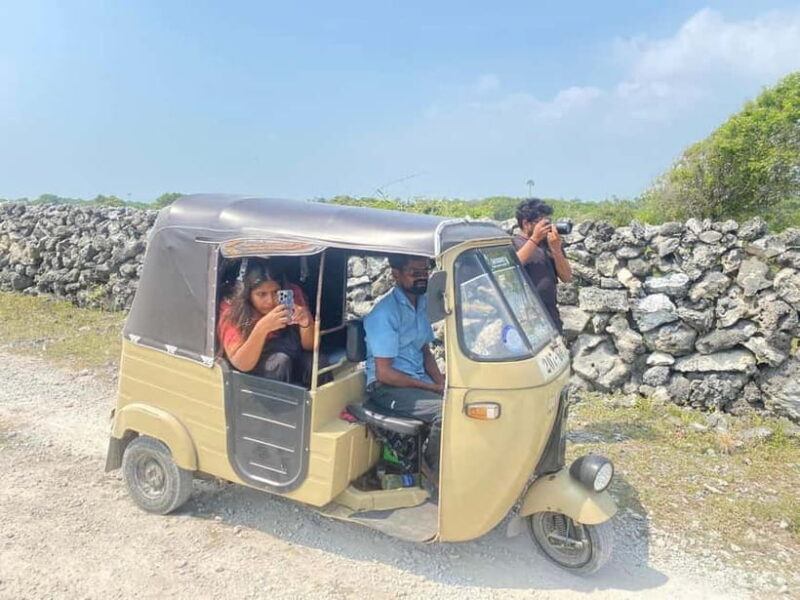 Jaffna: Delft and Nainativu Island Tour with Local Guide - A Full Breakdown of the Experience