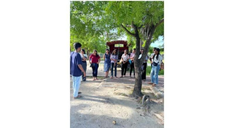 Jaffna: Delft Island Overnight Tour with Tamil Village Stay - An Honest Look at the Experience