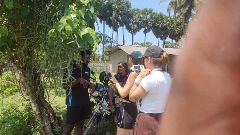 Jaffna: Tamil Farming Experience with Local Farmers - Key Points