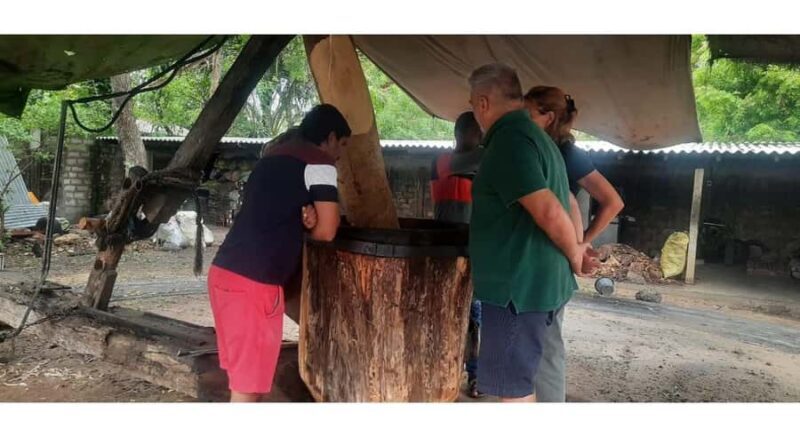 Jaffna Traditional Sesame Oil Extraction Experience - Key Points